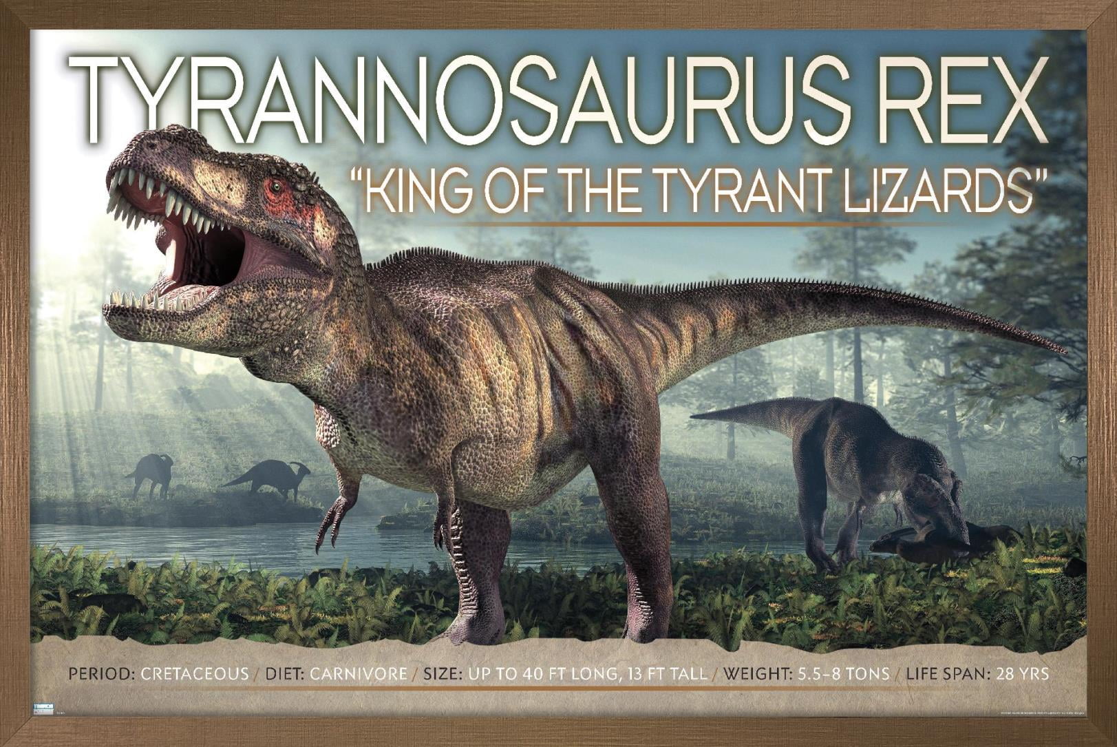 Dinosaurs - T-Rex Wall Poster, 22.375" x 34", Framed - Walmart.com