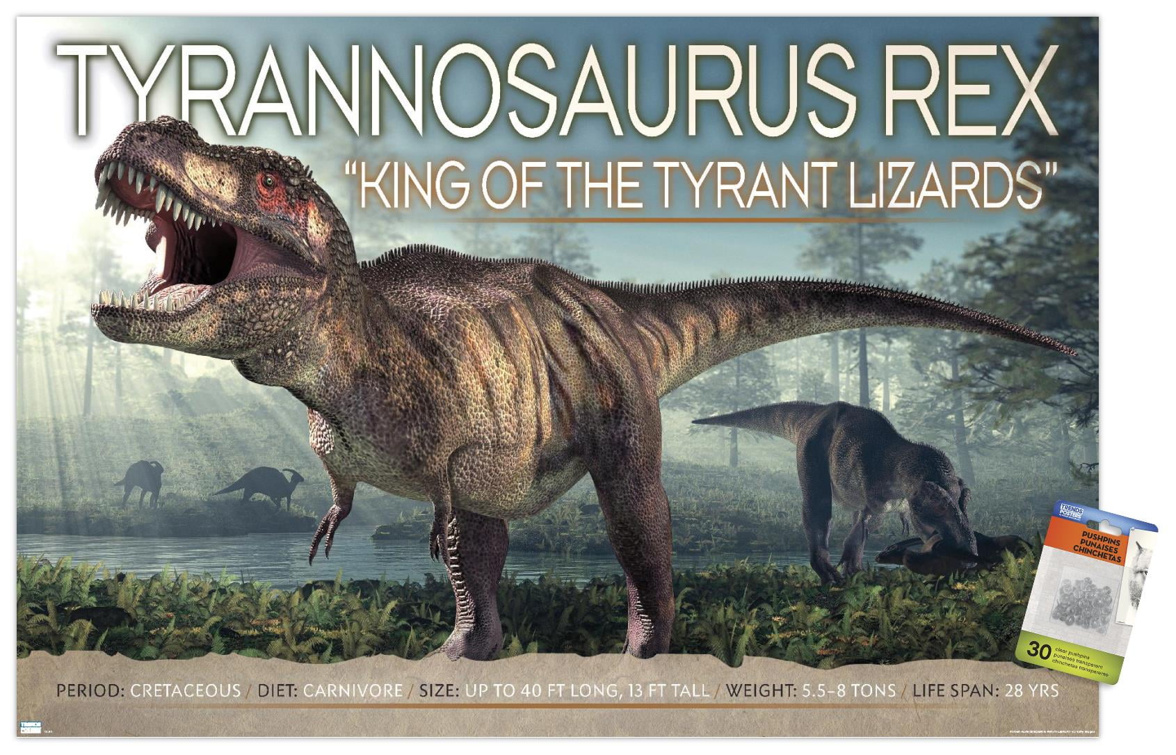 Dinosaurs - T-Rex Wall Poster with Push Pins, 22.375" x 34" - Walmart.com