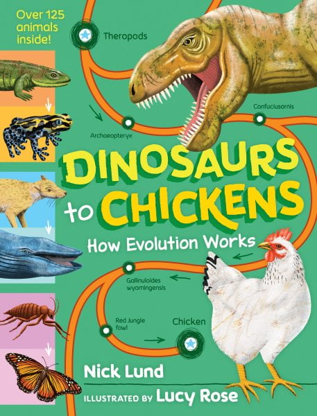 Pre-Owned Dinosaurs to Chickens: How Evolution Works - Walmart.com