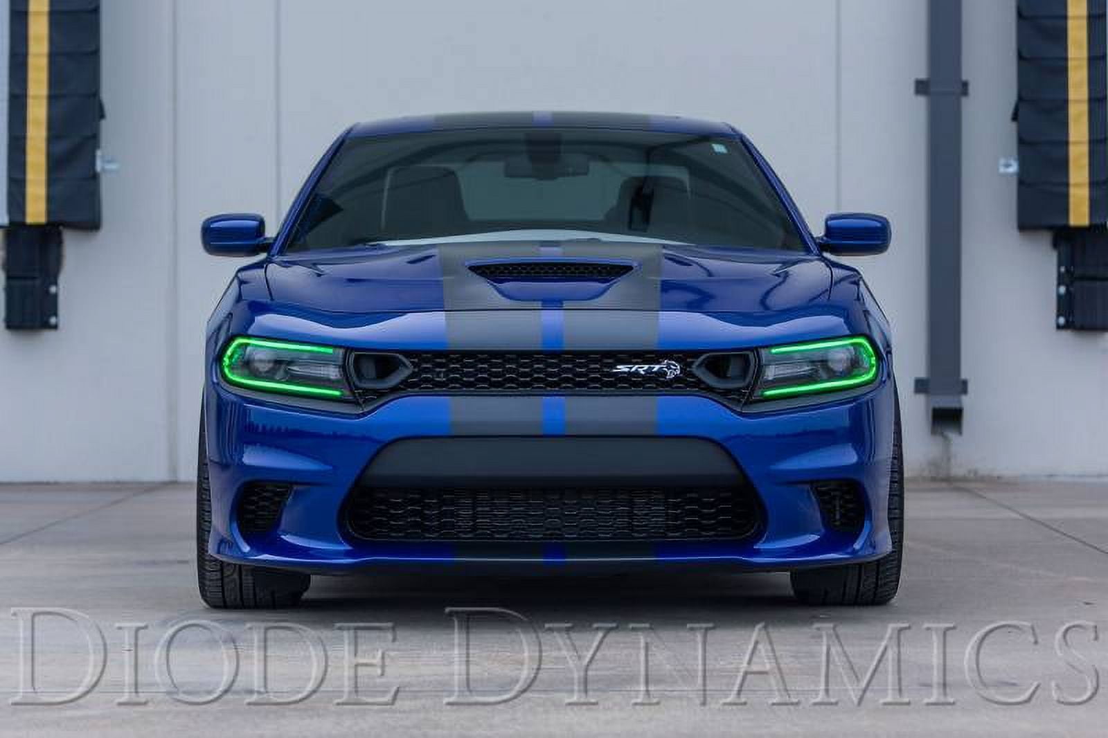 Diode Dynamics 2019-2020 Fits Dodge Charger Multicolor LED Boards ...