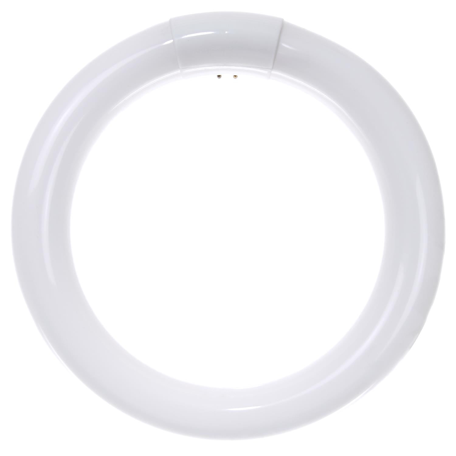 Diodesy- FC8T9/WW T9 Circline Round Fluorescent Light Bulb, Circular Lamp Replacement for ...