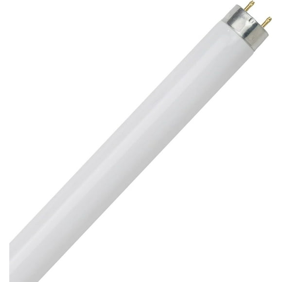 T8 Fluorescent Light Bulbs