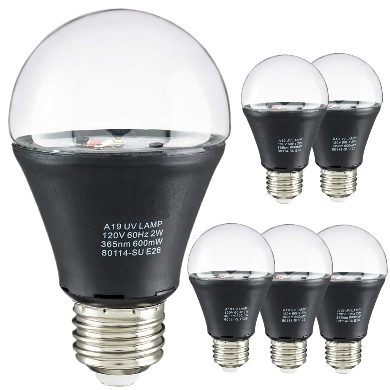 Diodesy- Pack of 6 A19/LED/2W/BLB LED Black Light Bulbs, Glow in The ...
