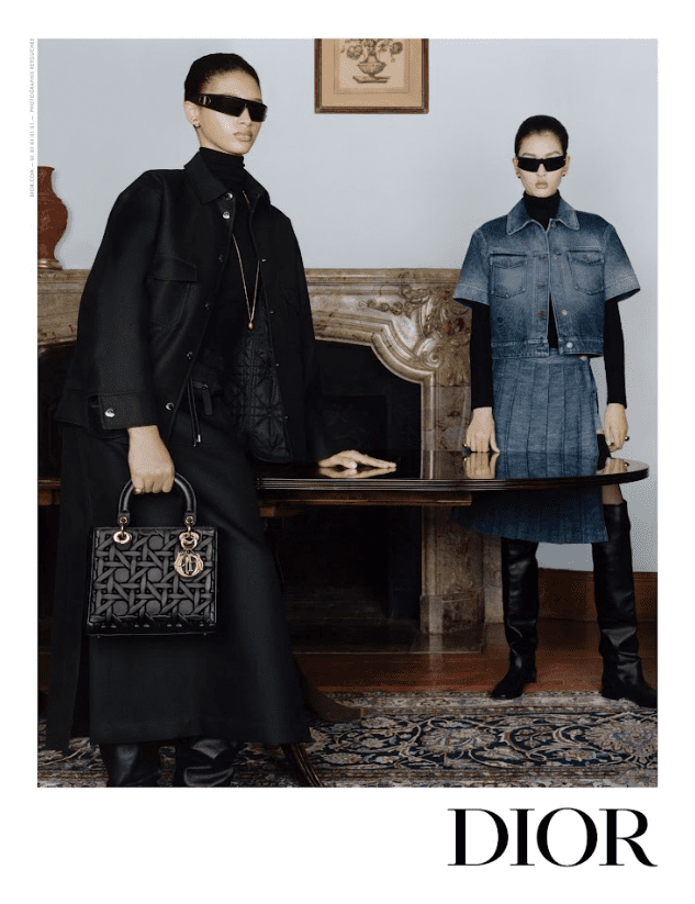 Dior Fall 2024 Ad Campaign by Sarah Jones Poster 24x36 - Fashion Trend ...