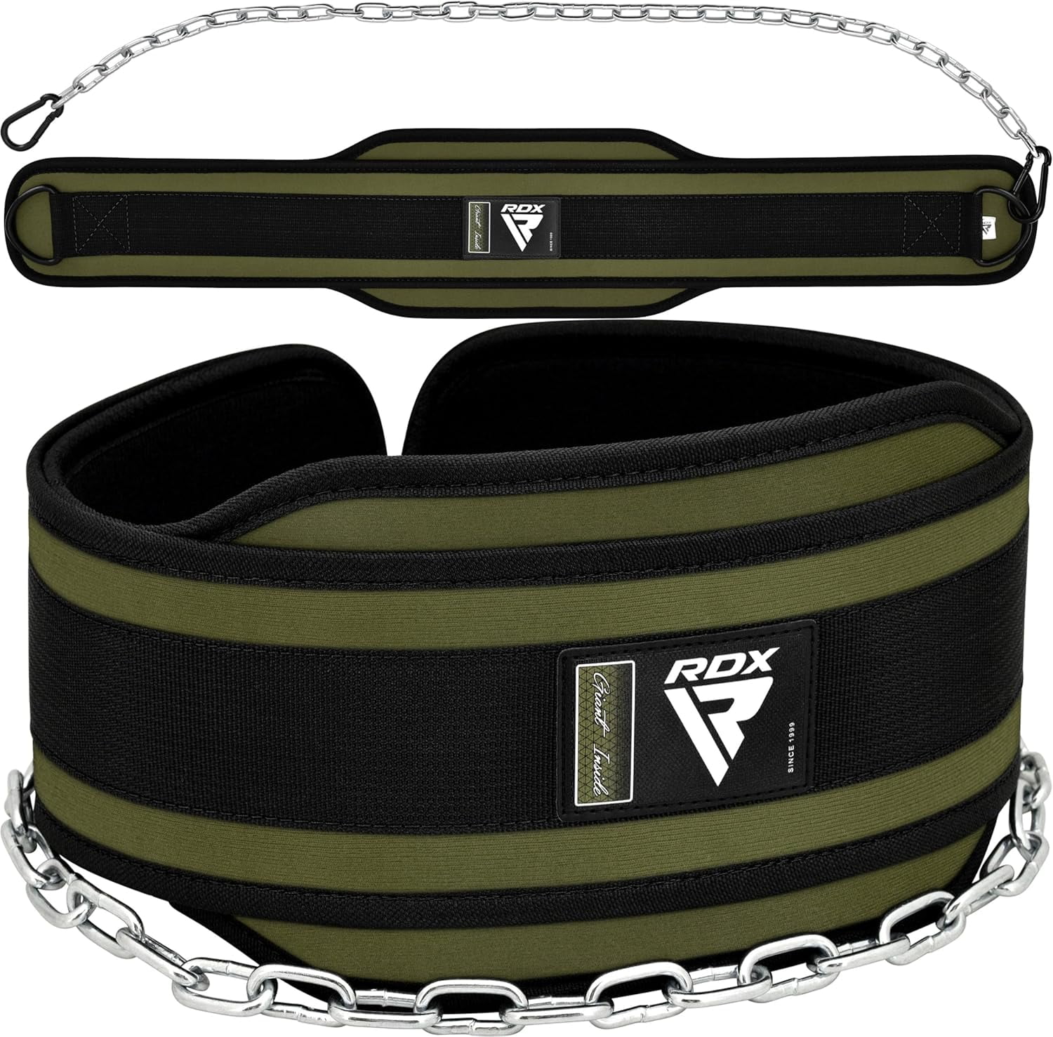 Dip Belt for Weight Lifting, Heavy Duty 36 Inch Adjustable Steel Chain ...