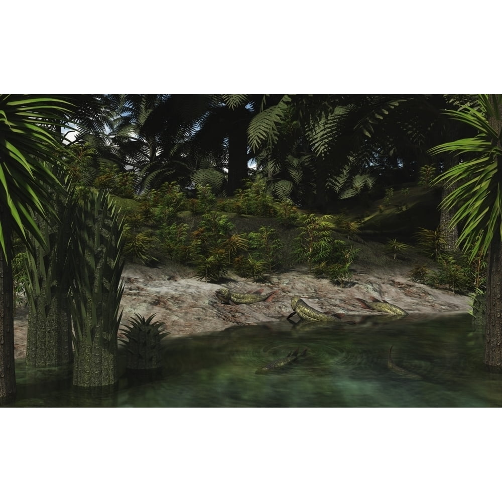 Dipterus fish emerge from a Devonian freshwater lake Poster Print ...