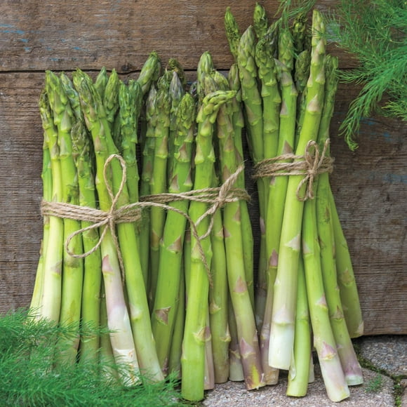 Shop All Vegetable Plants in Vegetable Plants - Walmart.com