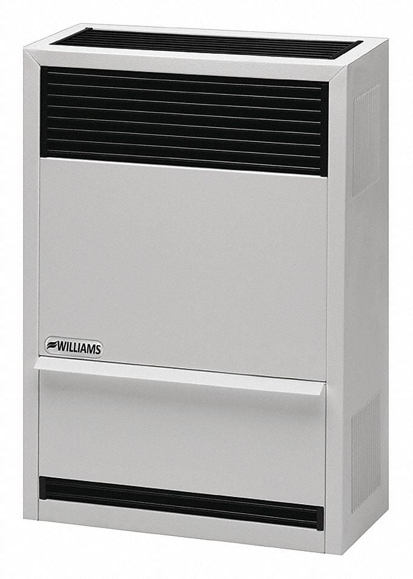 Direct Vent Wall Furnace, 14,000 Btu, Lp Gas - Walmart.com