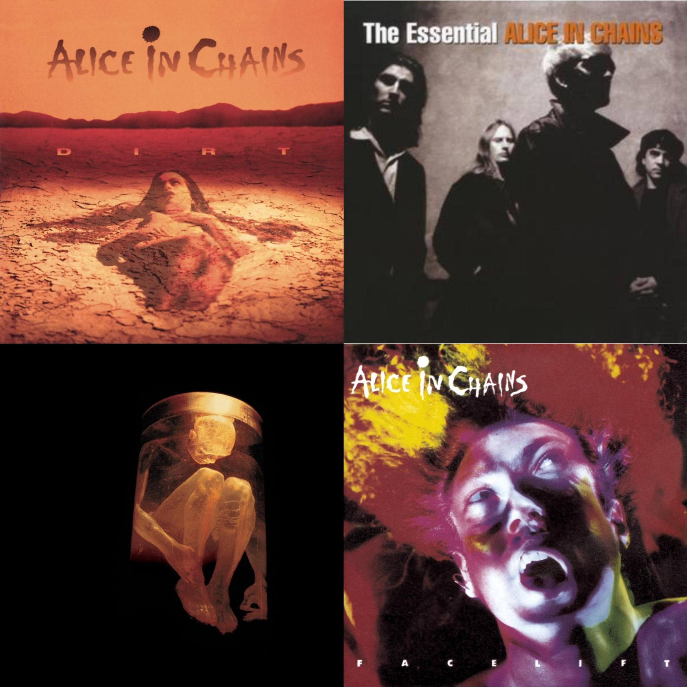 Dirt & Essential Alice In Chains & Nothing Safe: Best Of The Box & Facelift [CD Bundle ...