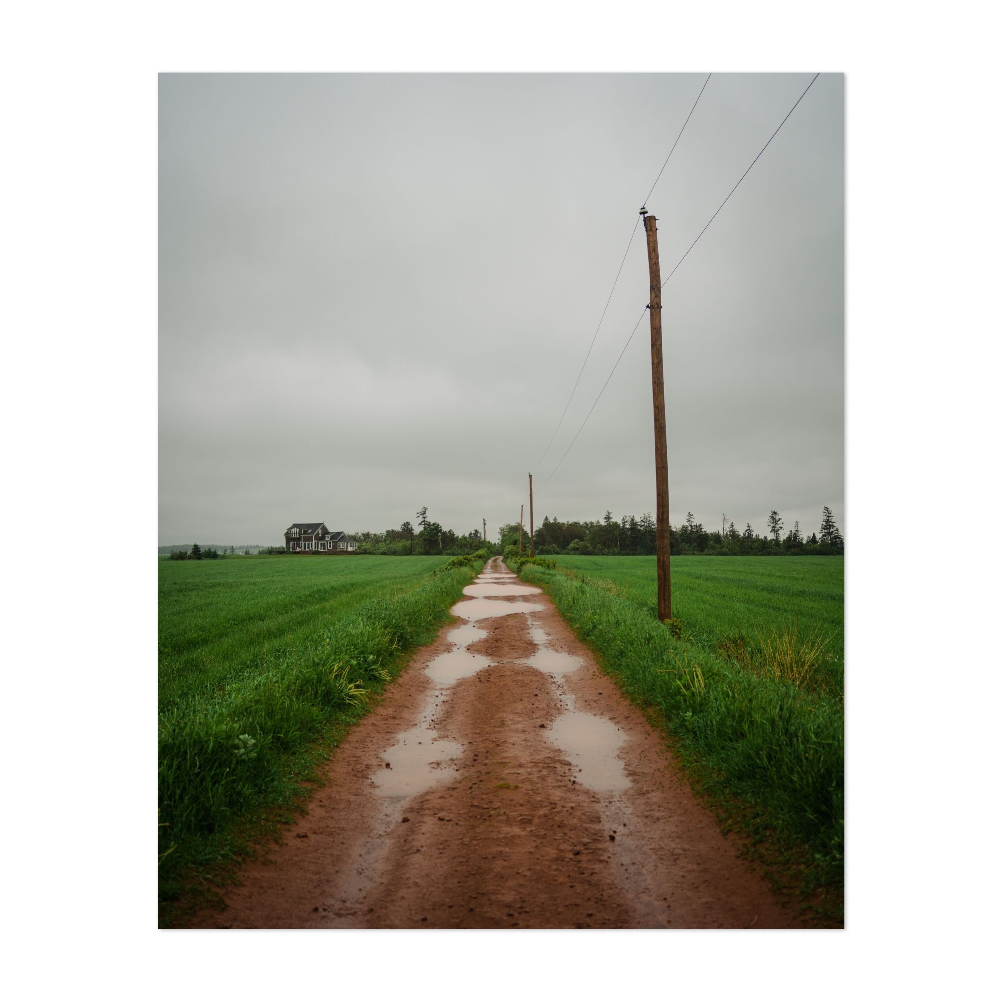 Dirt Road, Cape Tryon - Prince Edward Island Canada Photography Rural ...