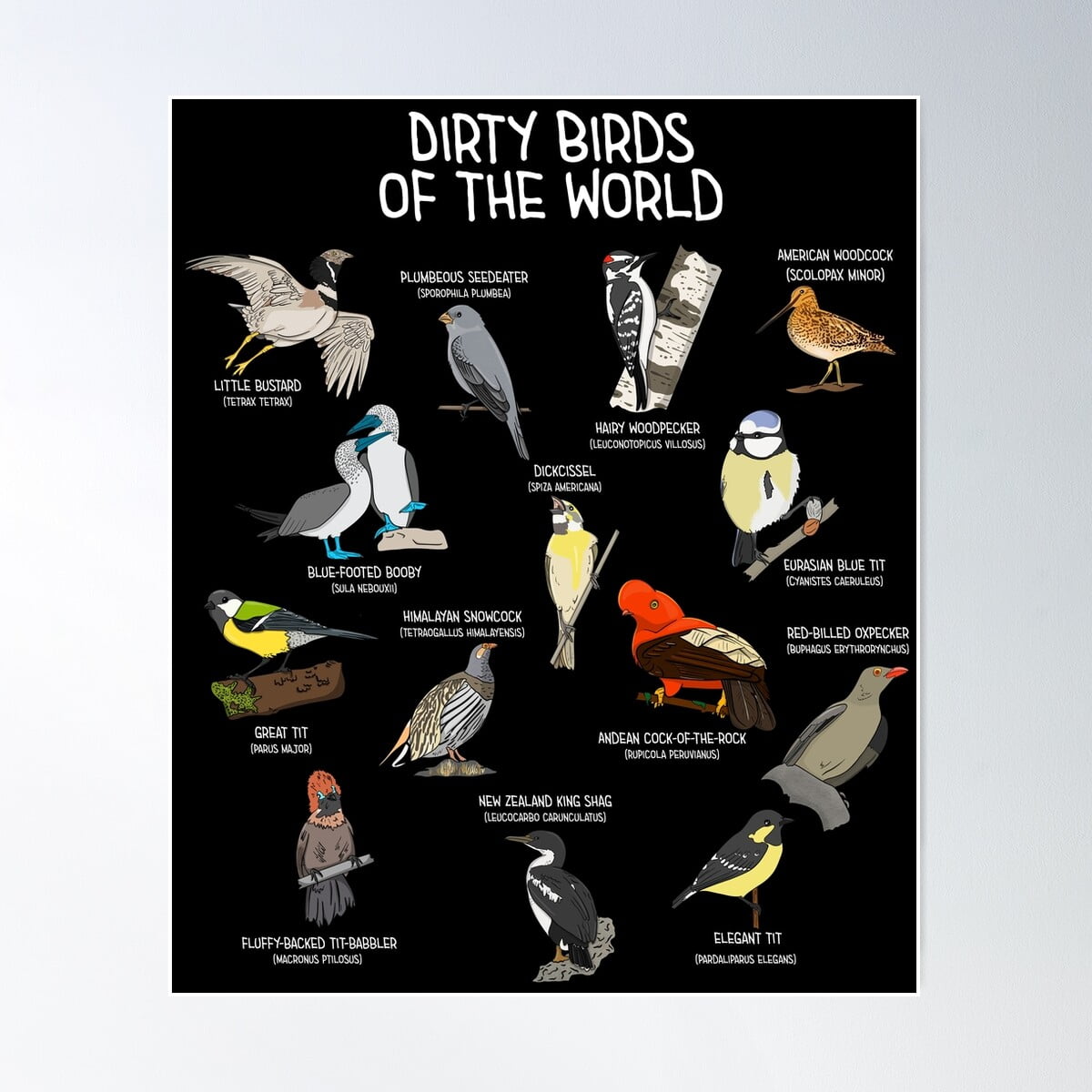 Dirty Birds Of The World Funny Bird Watcher Birdwatching Poster Wall ...
