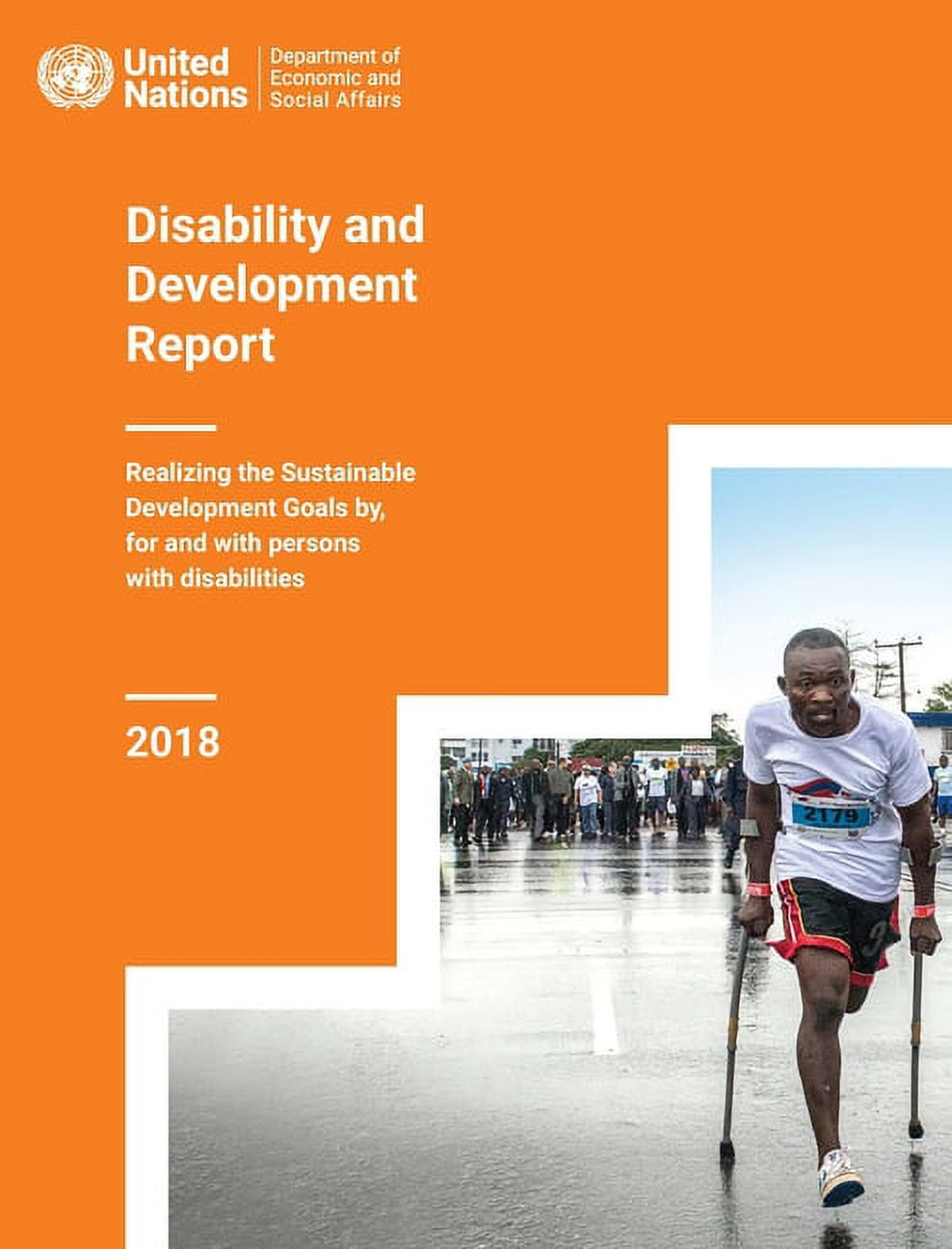 Disability and Development Report : Realizing the Sustainable ...