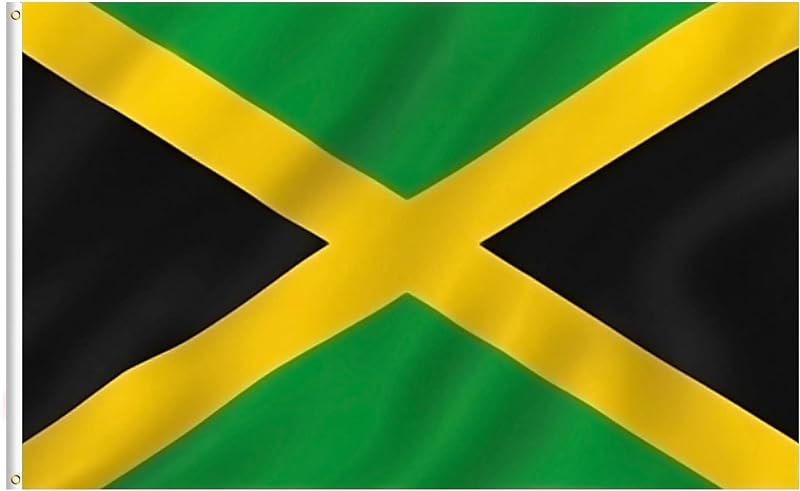 Discipline Equals Freedom Flag 3x5FT 90X150CM Motivational Flag for ...