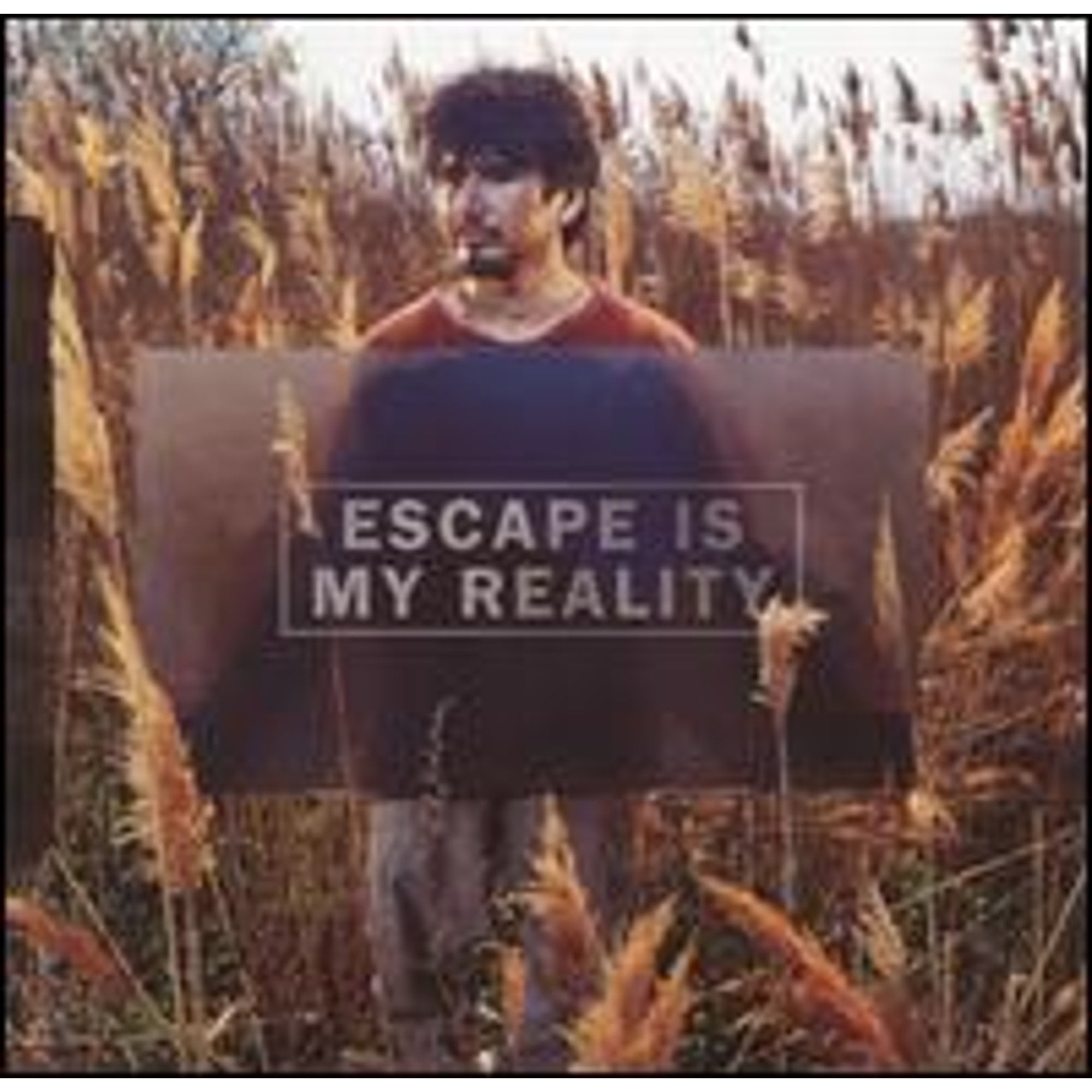 Disclaimer (CD) by Seether - Walmart.com