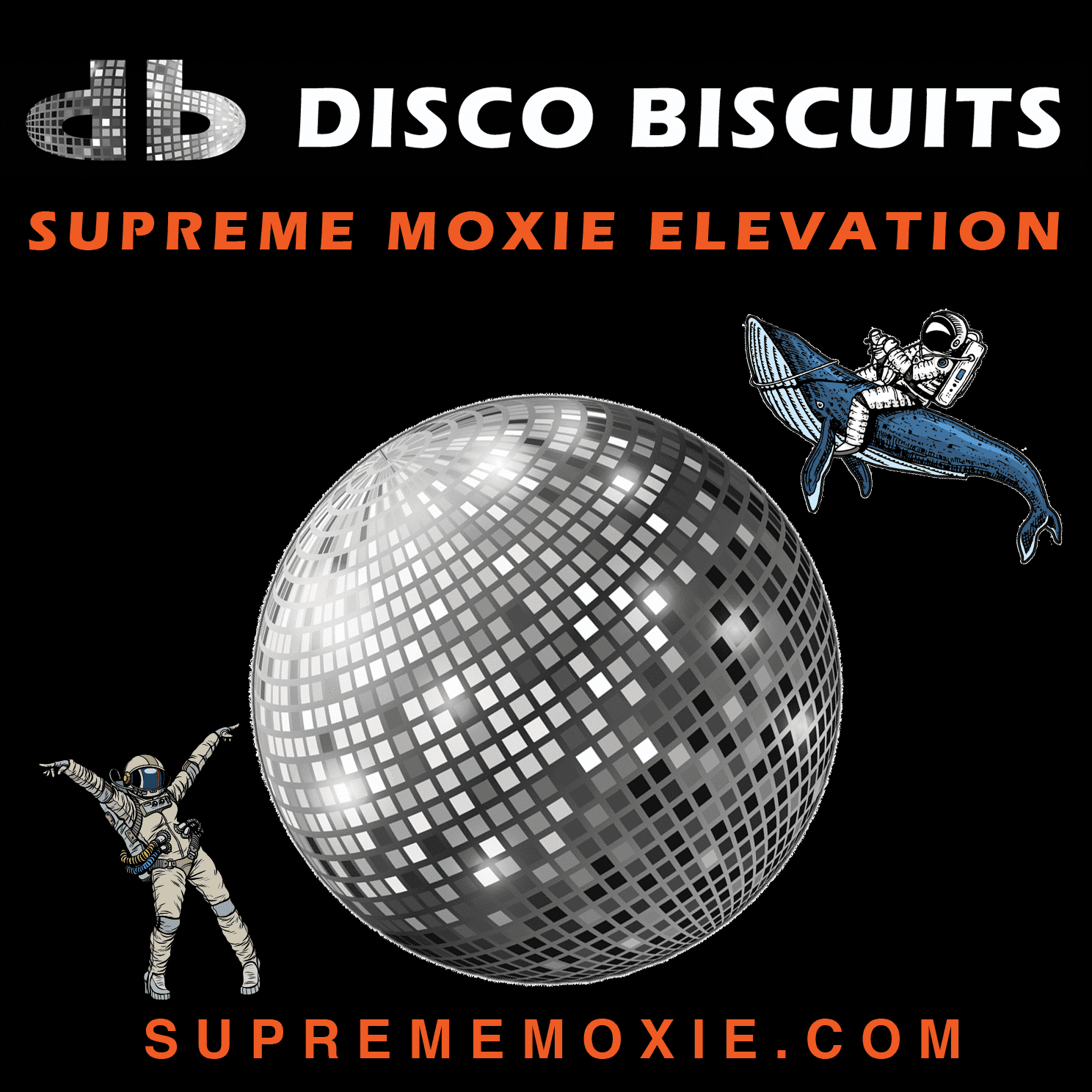 Disco Biscuit