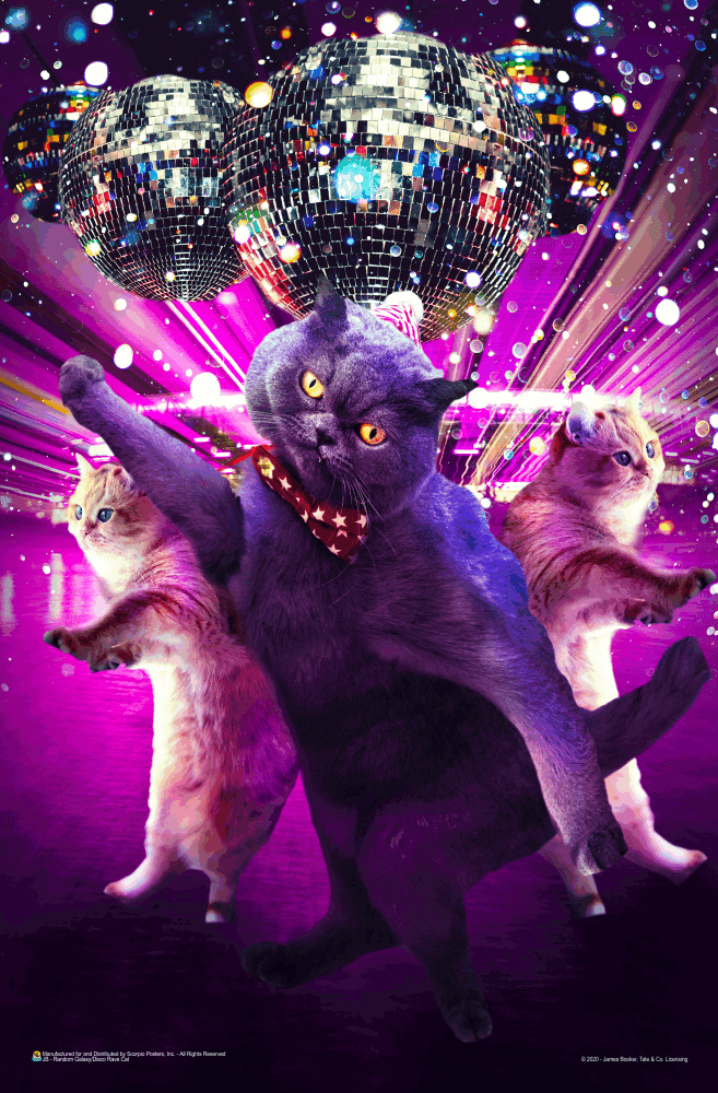 Disco Cat Rave by James Booker Mini Poster - 11" x 17" - Walmart.com