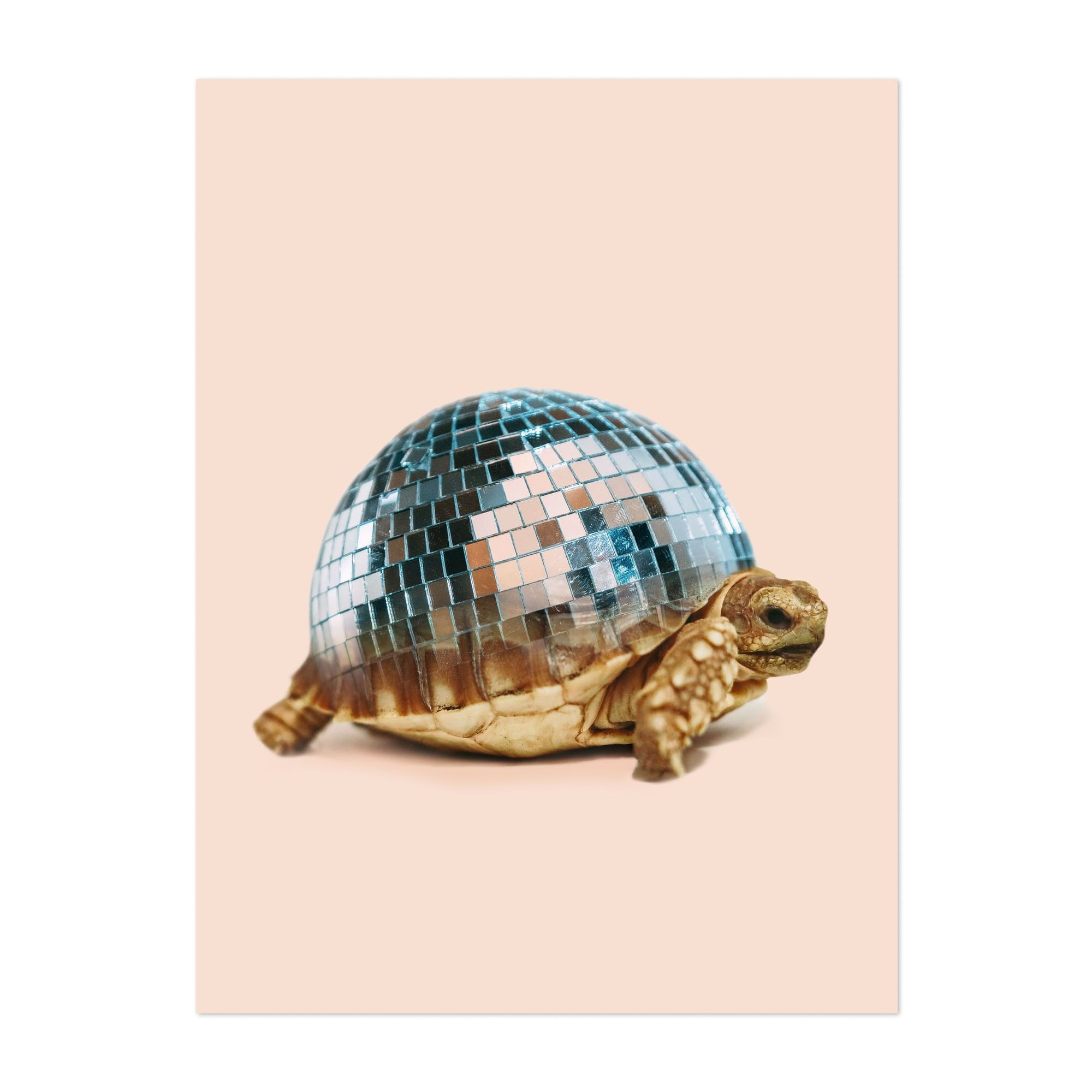 Disco Turtle - Mixed Media Disco Ball Surrealism Humor Animal Modern Art Whimsical Pop Art ...