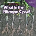 Discover More: Earth's Processes What Is the Nitrogen Cycle ...