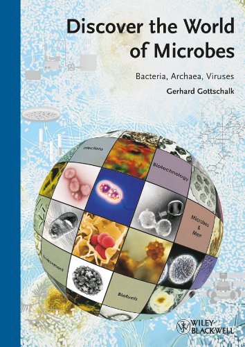Pre-Owned Discover the World of Microbes: Bacteria, Archaea, Viruses ...