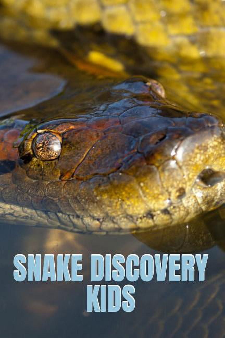 Discovery Books for Kids: Snake Discovery Kids: Jungle Stories Of ...
