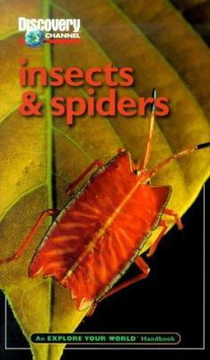Pre-Owned Discovery Channel: Insects & Spiders: An Explore Your World Handbook (Paperback ...