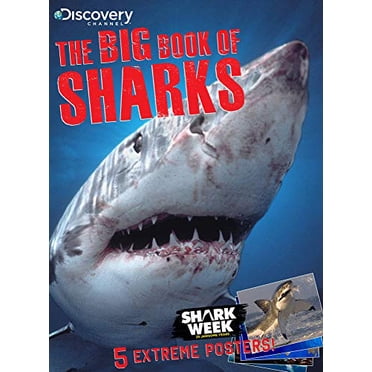 Shark Chums: Can Clam Go? : Ready-to-Read Pre-Level 1 (Hardcover ...