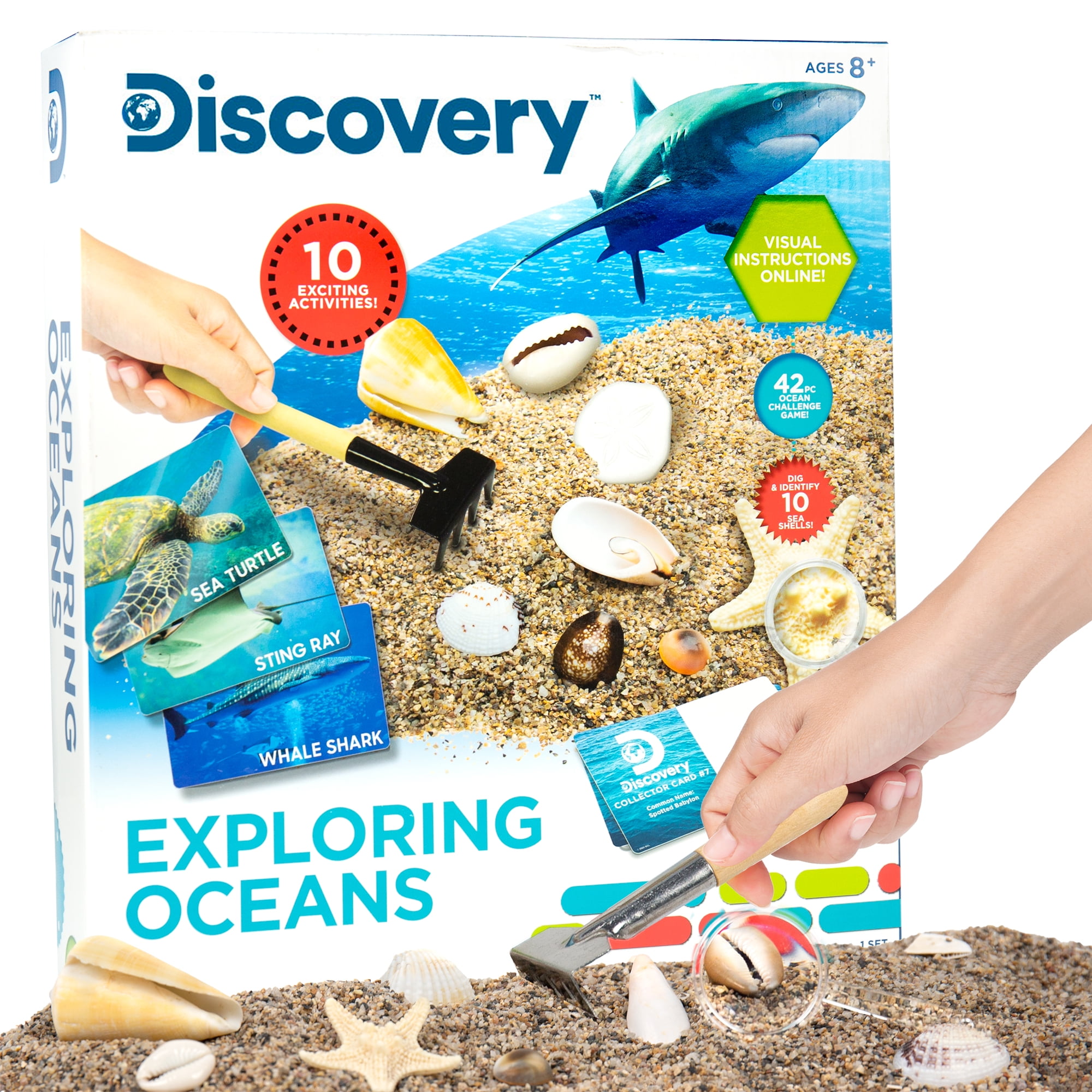 Discovery Exploring Oceans Identification & Exploration Activity Kit ...