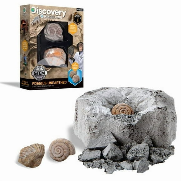 Explore Fossil Dig Kits for Kids and Teens Science & Education Toys