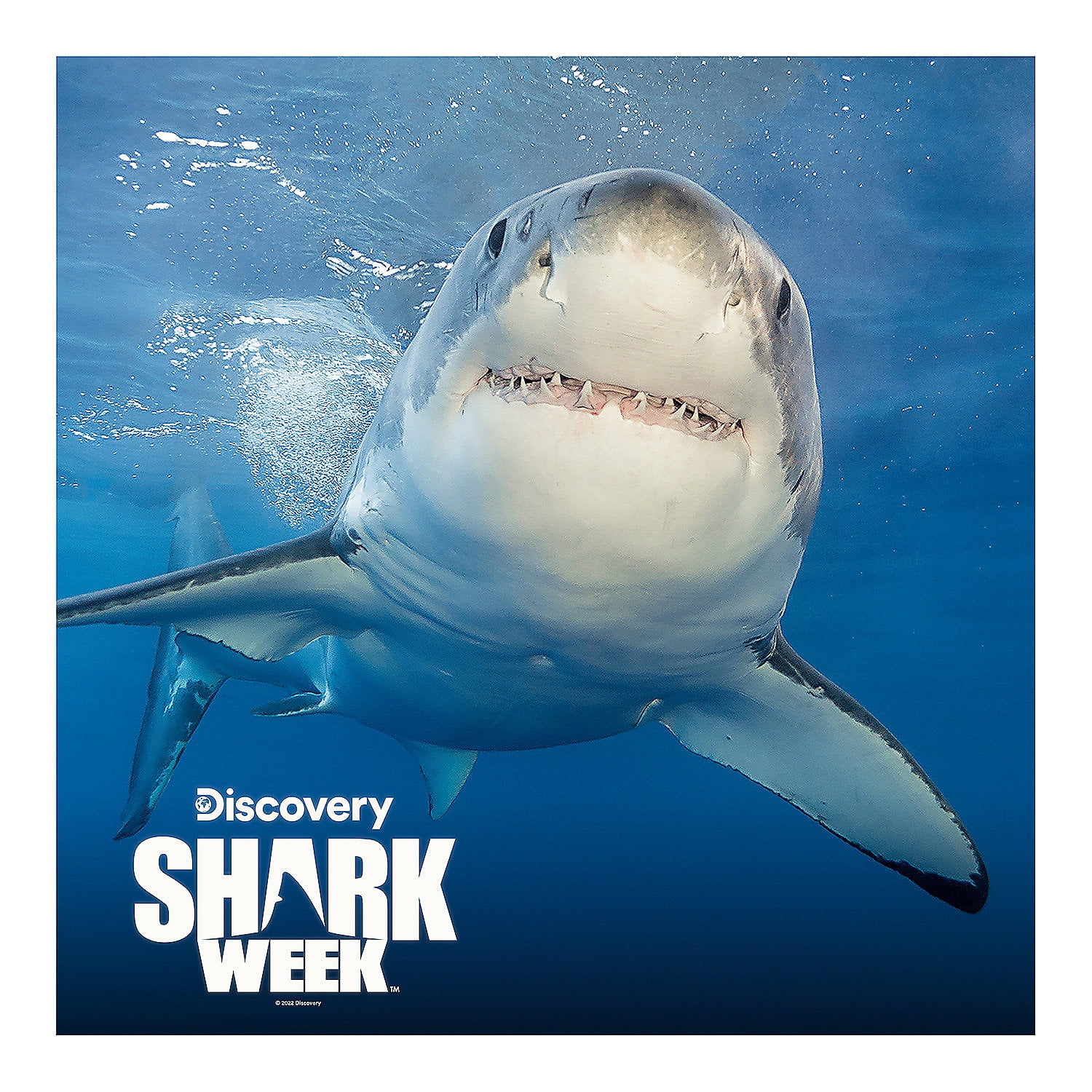 Discovery Shark Week Backdrop - Walmart.com
