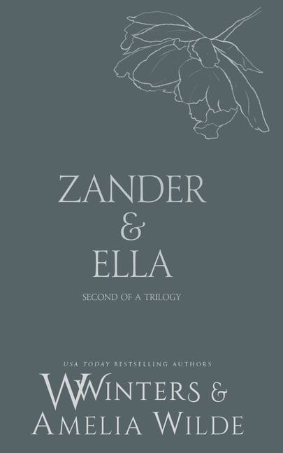 Discreet Zander & Ella: Hold Me, Book 46, (Paperback) - Walmart ...