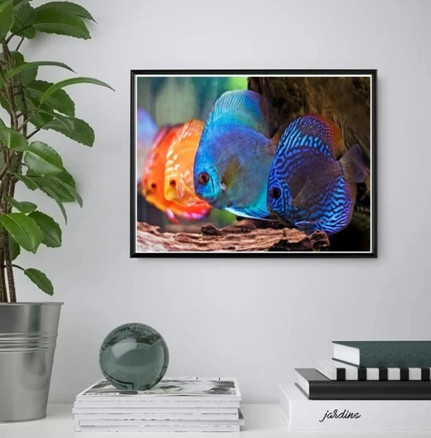 Discus Poster, Discus Wall Print, Tropical Fish Wall Print NO FRAMED ...