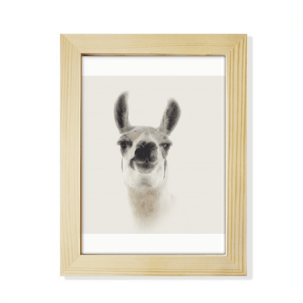 Disdain Alpaca Ears Pout Art Deco Fashion Desktop Adorn Photo Frame ...
