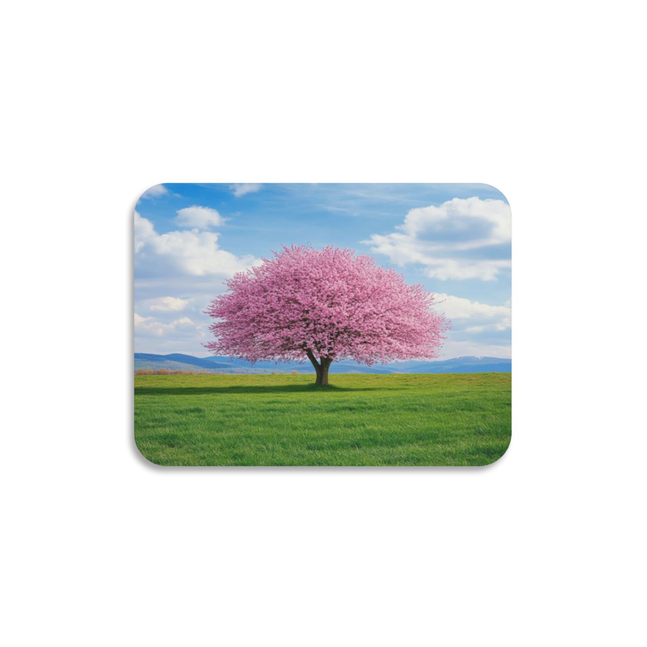 Dish Drying Mat Diatomite Kitchen Mats Counter Absorbent Dish Pad ...