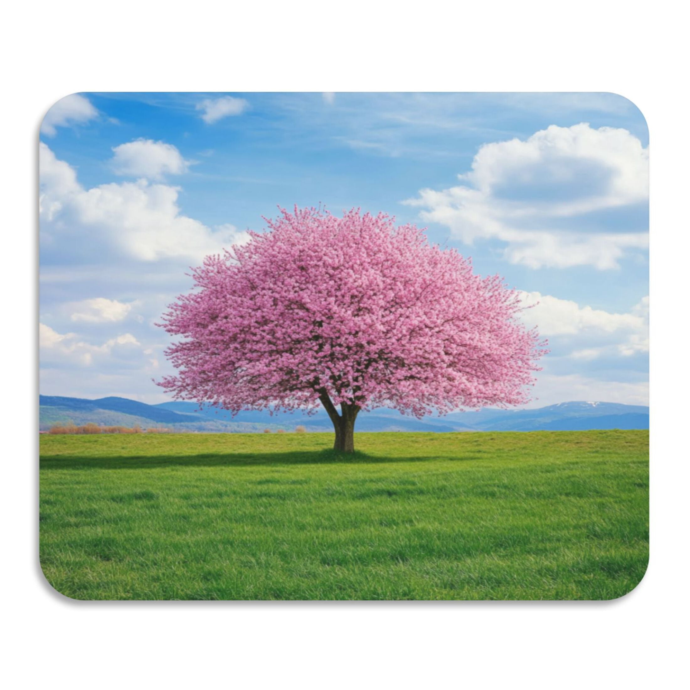 Dish Drying Mat Diatomite Kitchen Mats Counter Absorbent Dish Pad ...