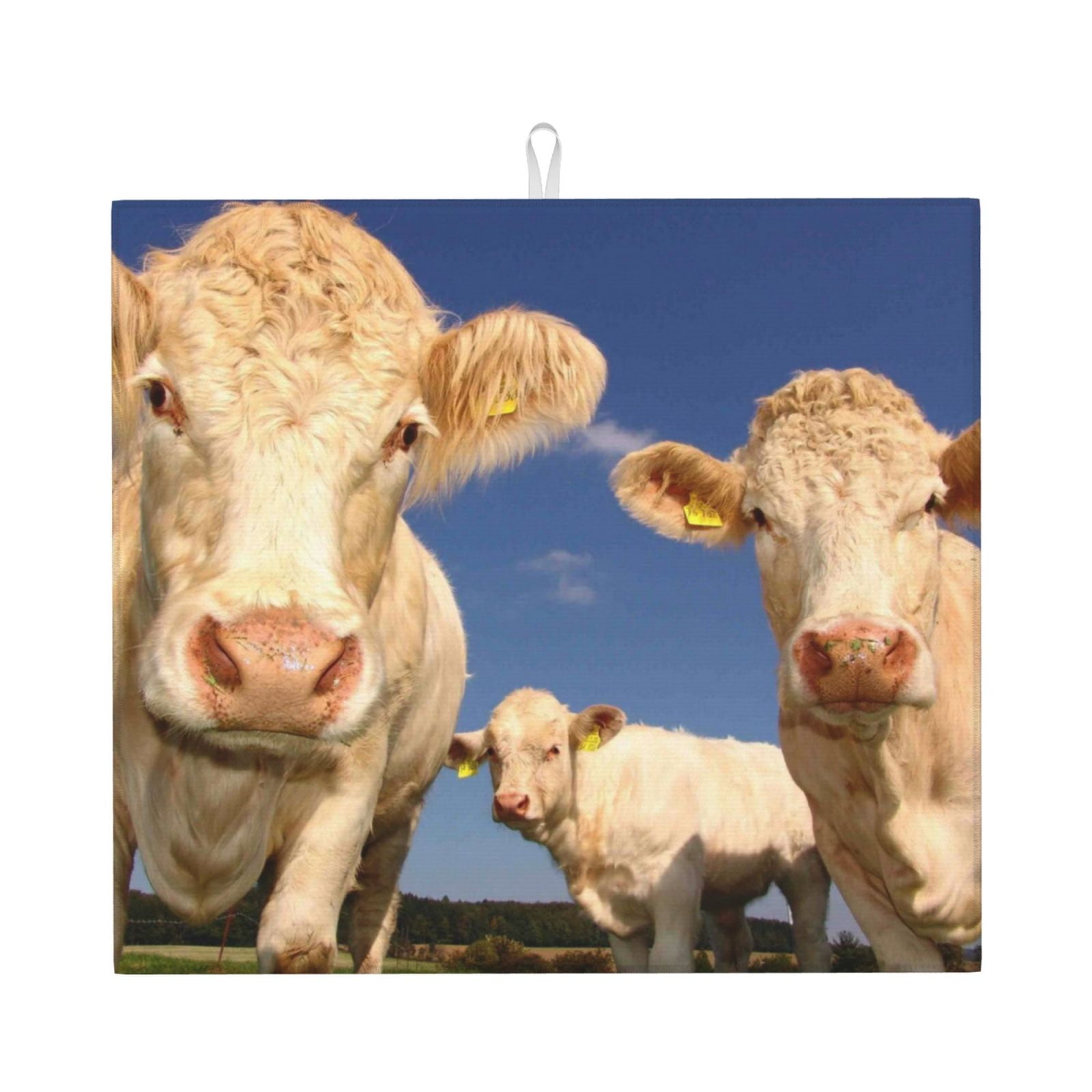 Dish Drying Mats for Kitchen Counter, Cows Cattles 16x18in Dish Drying ...