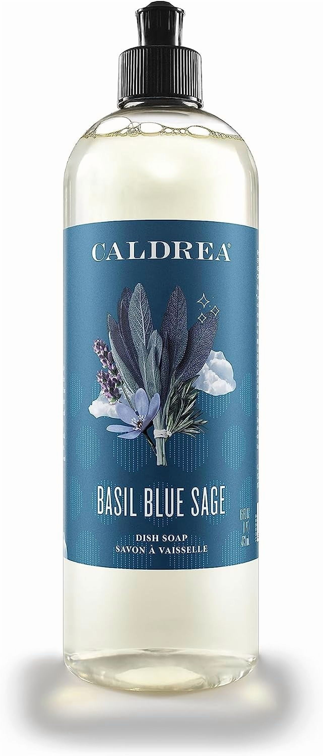 Dish Soap, Biodegradable Dishwashing Liquid made with Soap Bark and ...