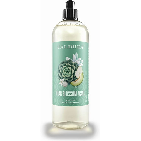 Dish Soap, Biodegradable Dishwashing Liquid made with Soap Bark and ...