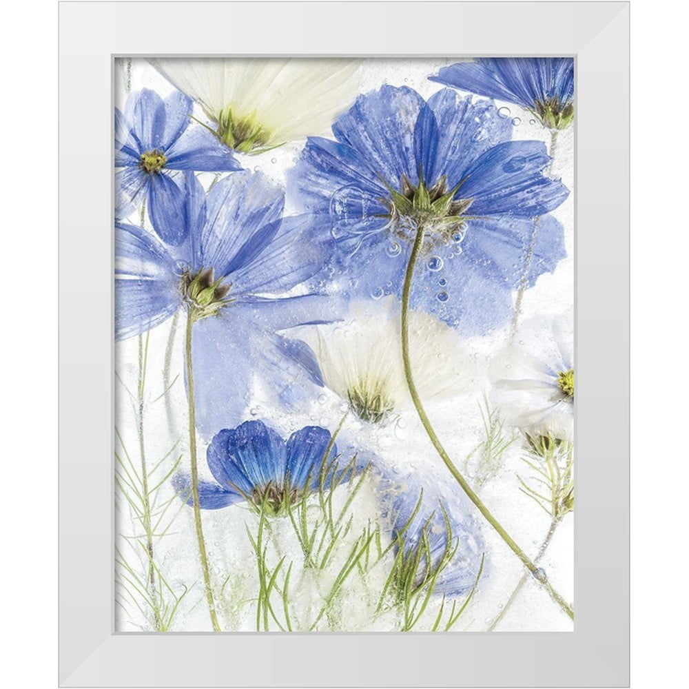 Disher, Mandy 12x14 White Modern Wood Framed Museum Art Print Titled ...