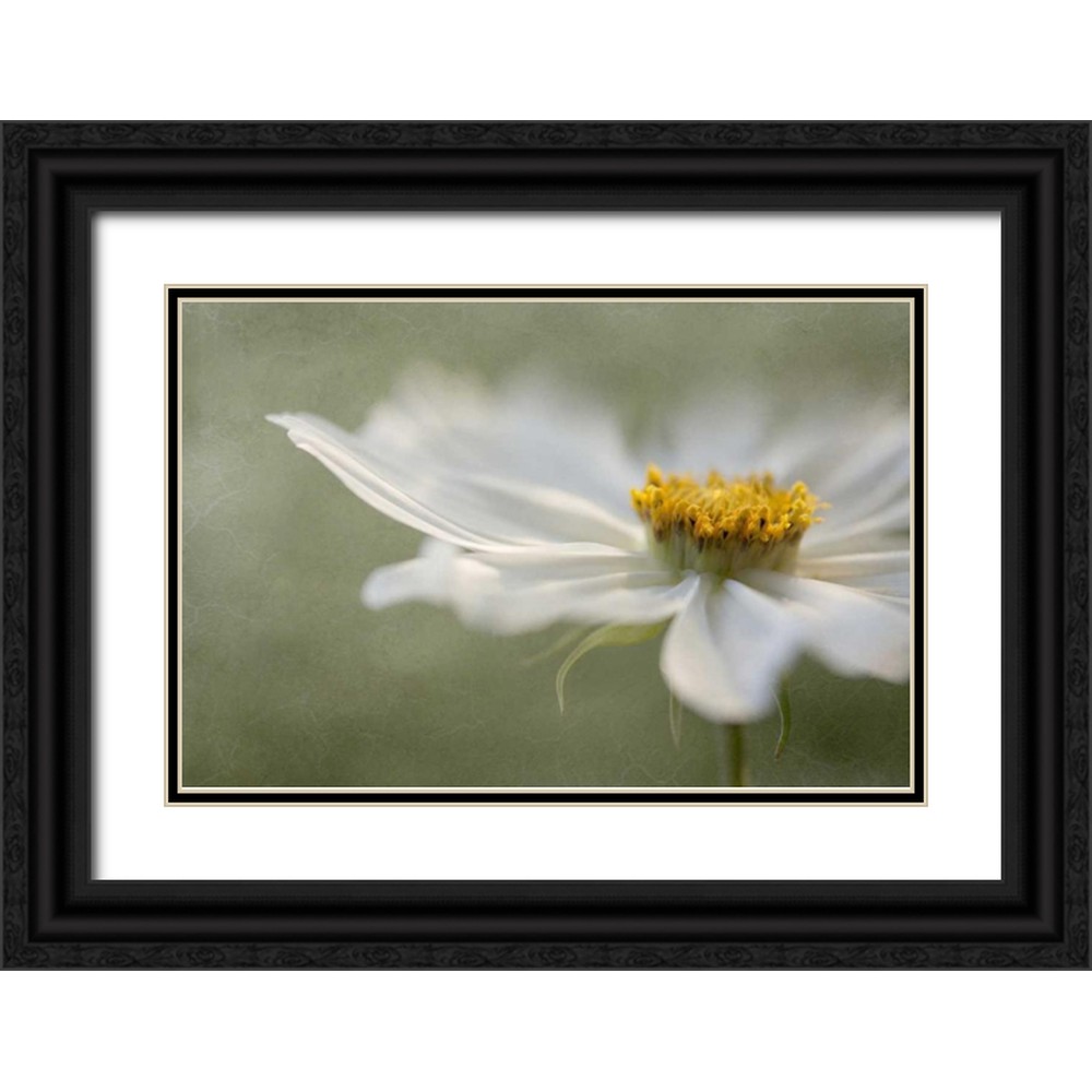 Disher, Mandy 14x11 Black Ornate Wood Framed with Double Matting Museum ...