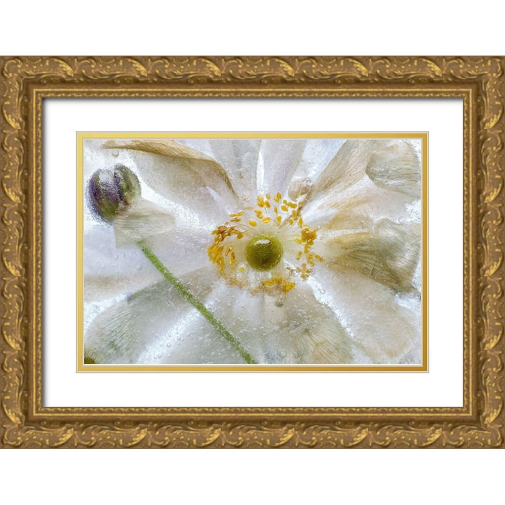 Disher, Mandy 14x11 Gold Ornate Wood Framed with Double Matting Museum ...