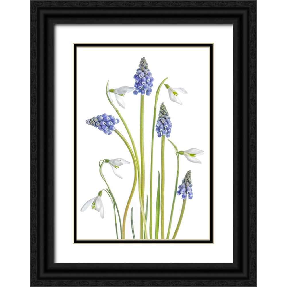 Disher, Mandy 14x18 Black Ornate Wood Framed with Double Matting Museum ...