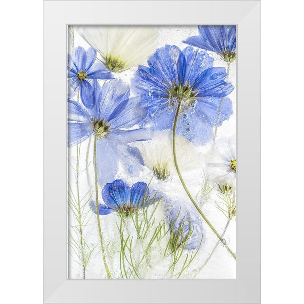 Disher, Mandy 17x24 White Modern Wood Framed Museum Art Print Titled ...