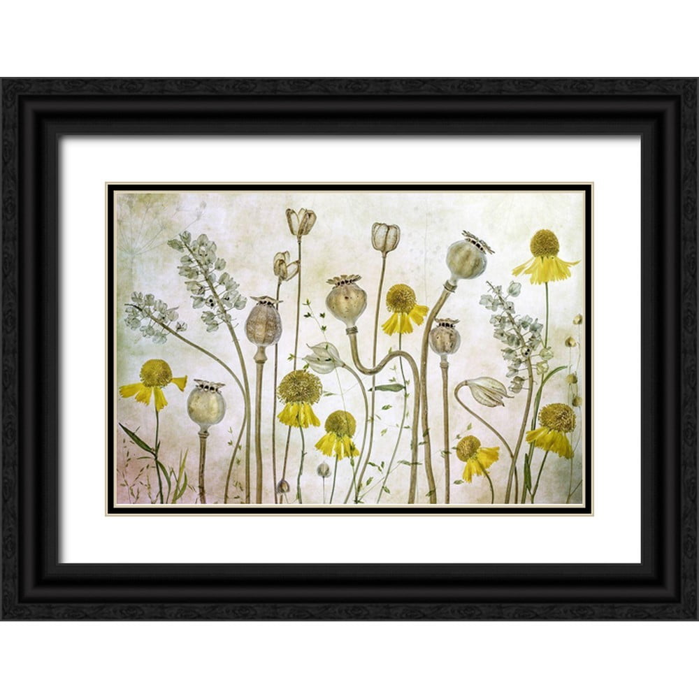 Disher, Mandy 18x13 Black Ornate Wood Framed with Double Matting Museum ...