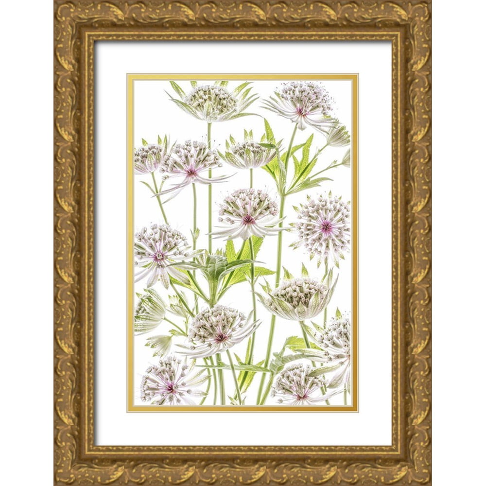 Disher, Mandy 23x32 Gold Ornate Wood Framed with Double Matting Museum Art Print Titled ...