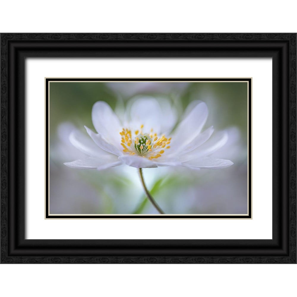 Disher, Mandy 32x23 Black Ornate Wood Framed with Double Matting Museum ...