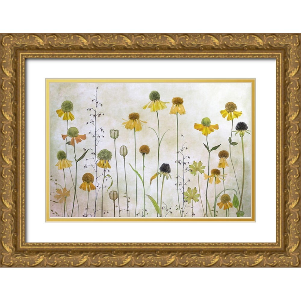 Disher, Mandy 32x23 Gold Ornate Wood Framed with Double Matting Museum ...