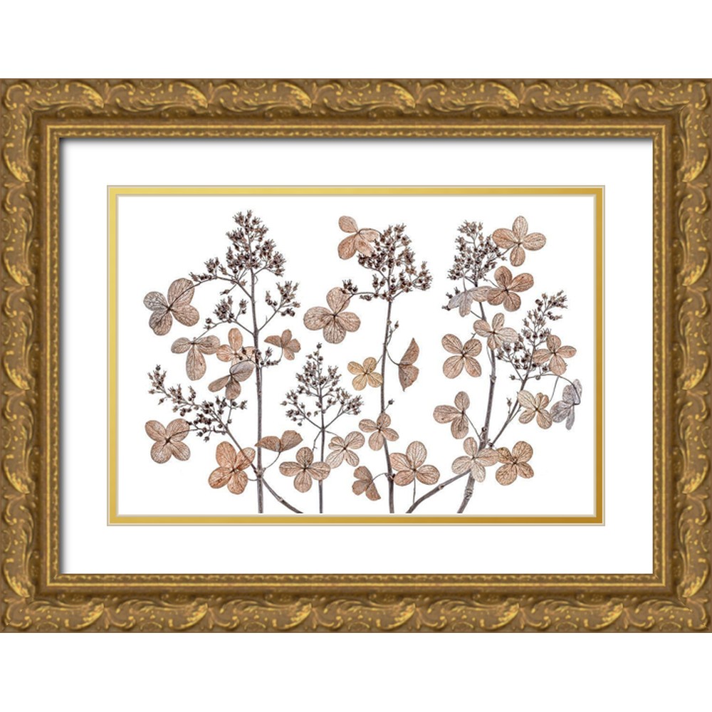 Disher, Mandy 32x23 Gold Ornate Wood Framed with Double Matting Museum Art Print Titled ...