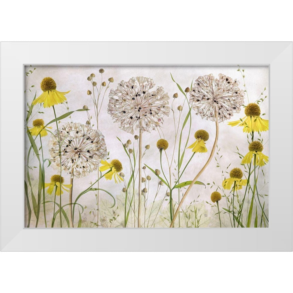 Disher, Mandy 32x23 White Modern Wood Framed Museum Art Print Titled ...