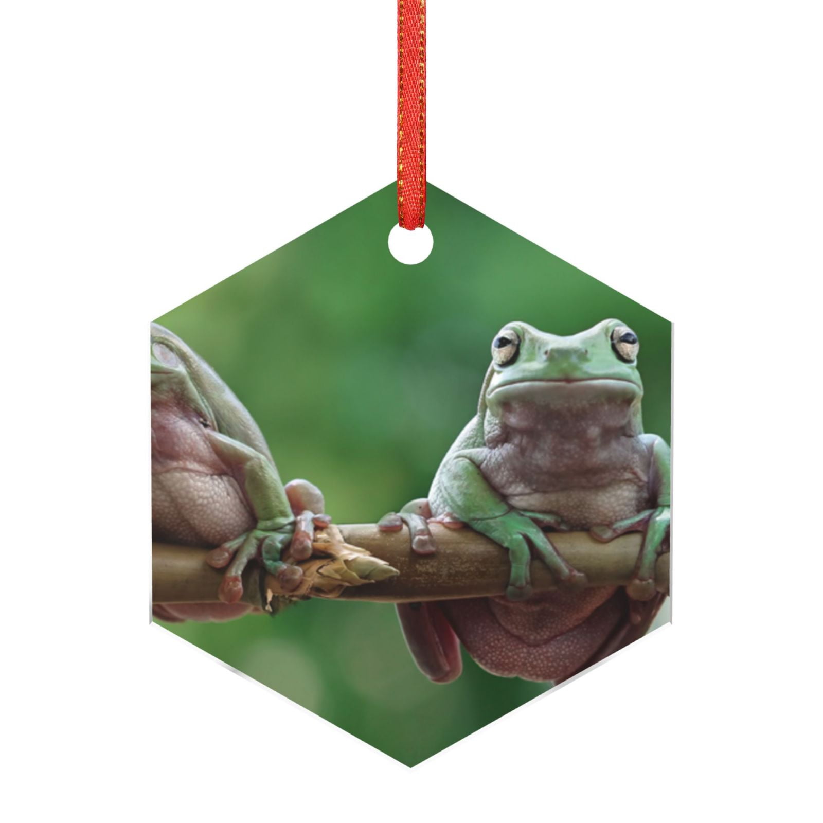 Disketp Australian White Tree Frog Sitting on Branch The Christmas Ornaments, Christmas Tree ...
