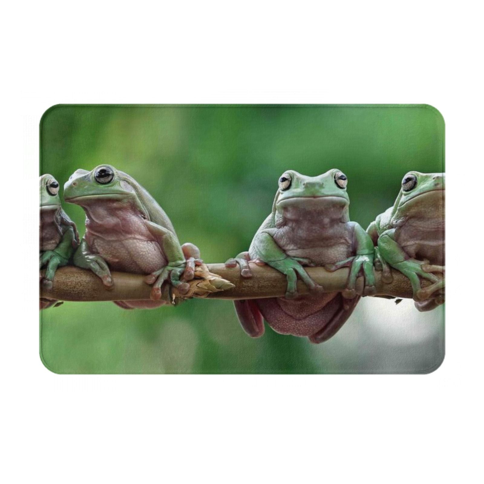 Disketp Australian White Tree Frog Sitting On Branch Mat For Front Door ...